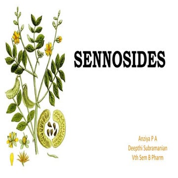 SENNOSIDES(3).pptx
