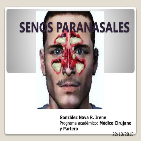 Anatomía de los senos paranasales | DOCX