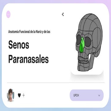 Fosas nasales y senos paranasales | PPTX