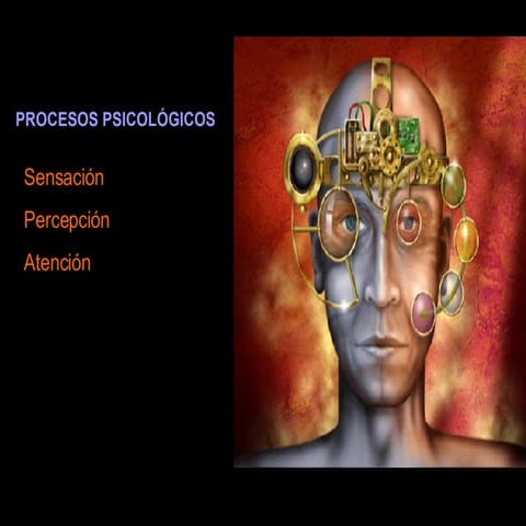 LA PERCEPCION. | PPTX