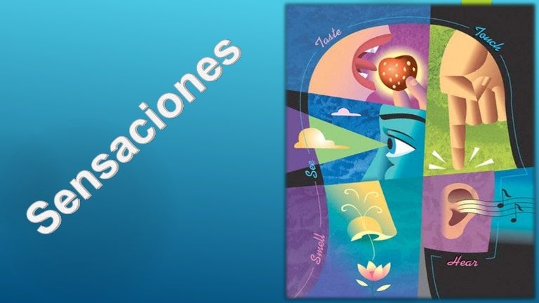 Sensaciones