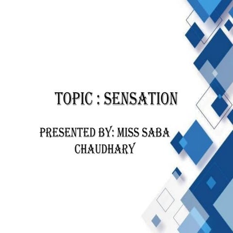 sensation presentation includes characters and types of it.pptx