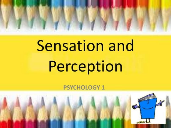 Perception | PPT