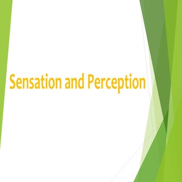 Sensation and perception | PPTX