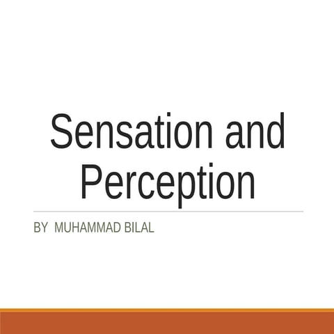 Sensation and perception | PPT