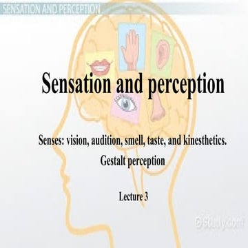 Comprehensive Exploration of Sensation, Perception, and Gestalt ...