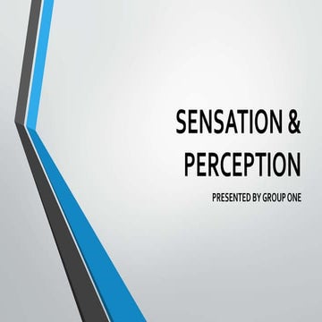 SENSATION AND PERCEPTION By group 1.pptx