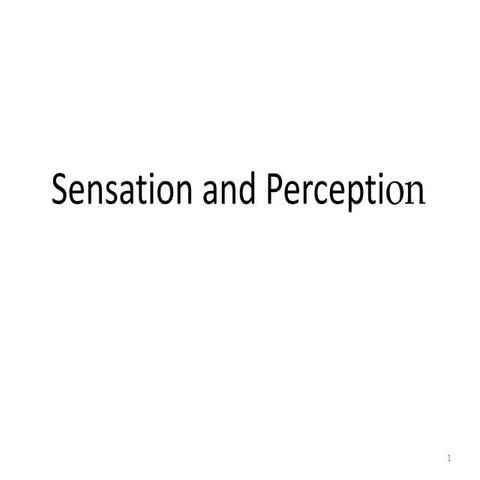 Sensation and Perception | PPT