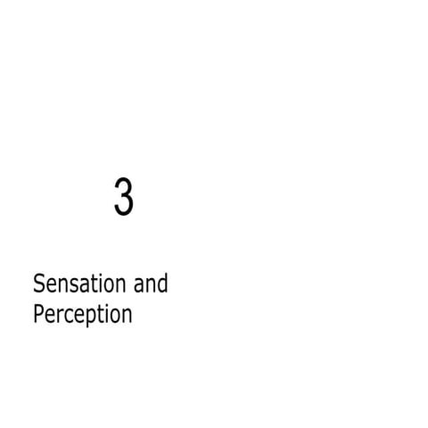 Sensation and perception lecture notes ss | PPT