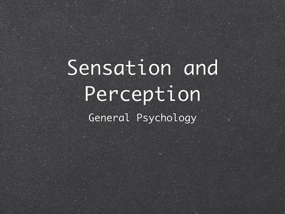 The five senses powerpoint | PDF | Perfume and Fragrance | Beauty