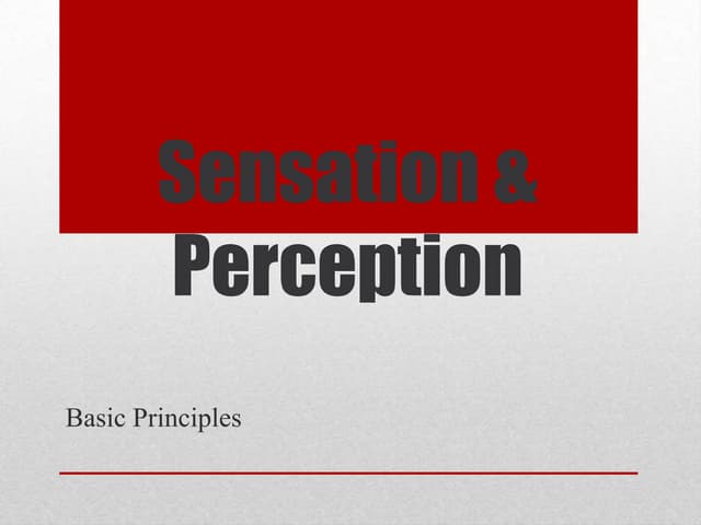 Sensation & Perception | PPT Sensation & Perception | PPT