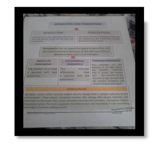 Sensation & perception MIND MAP | PDF | Science