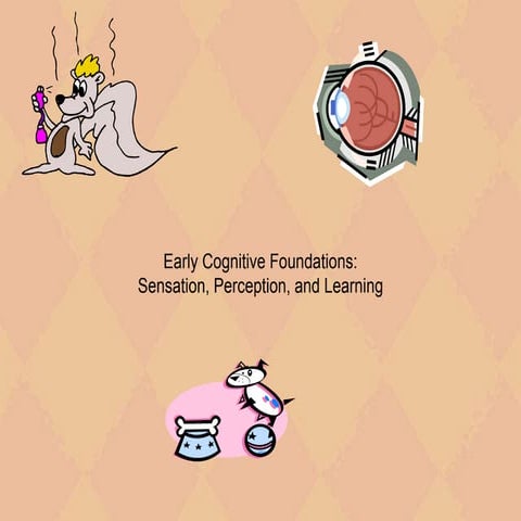 sensation perception and learning.ppt