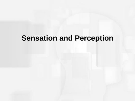 Perception - Organisational Behaviour | PPTX | Technology & Computing