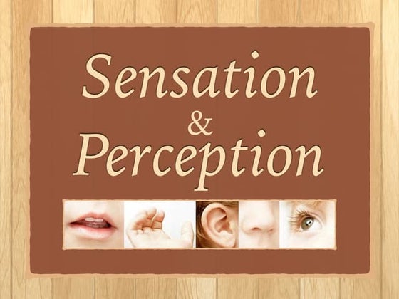 Sensation and Perception | PPT