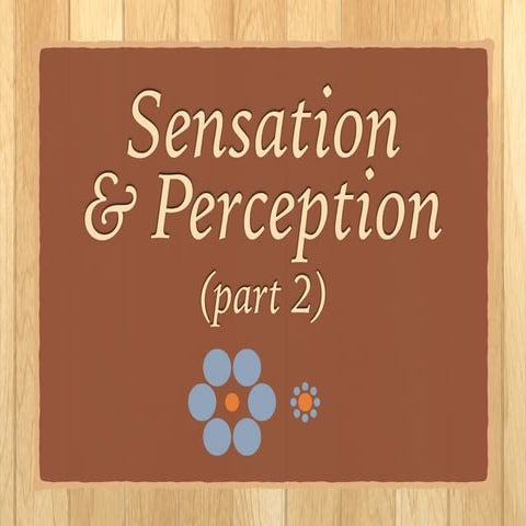 Sensation & Perception 2 | PPT