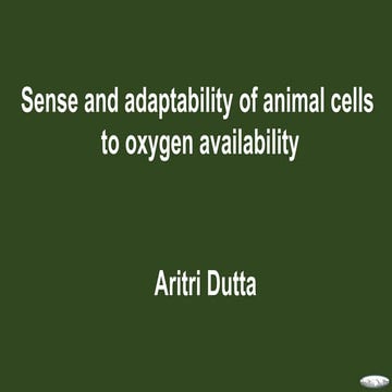 Sense and adaptability of animal cells to oxygen availability | PPT