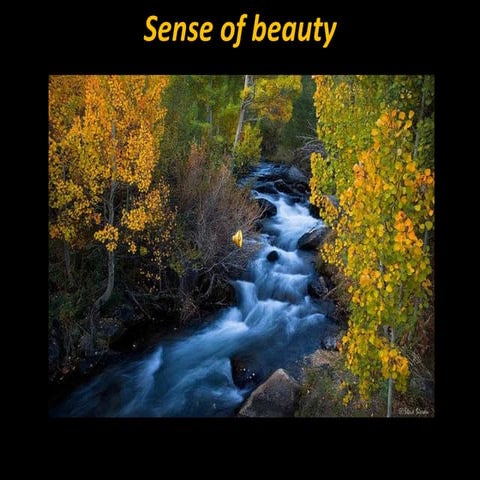 Sense Of Beauty | PPSX