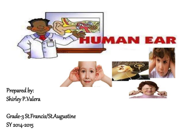 Science 3 parts of the ear | PPTX