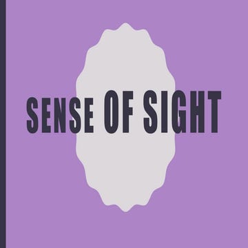 Sense of sight | PPTX