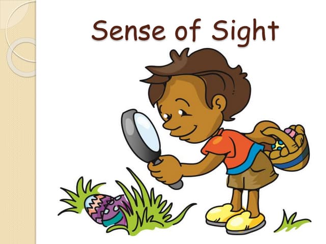 1 - SENSE OF SIGHT.pptx