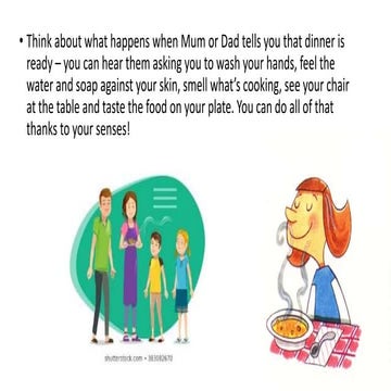 Sense of sight | PPTX