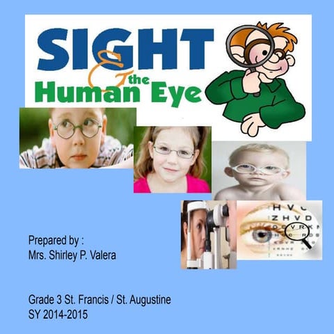 Sense of sight (structure of the eye.pptx) | PPT