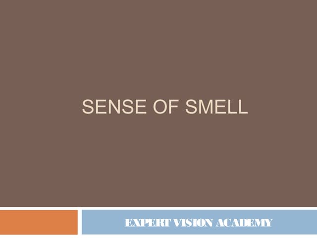 Sense Organ - Nose - Anatomy of Nose & Physiology of Olfaction | PPT