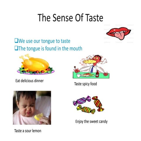 Sense of taste activity | PPTX