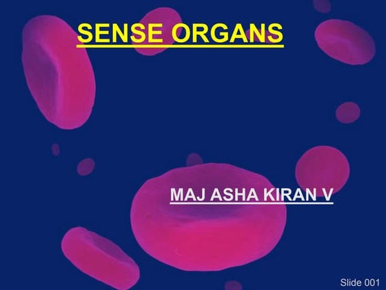 Different types of sense organ | PPT