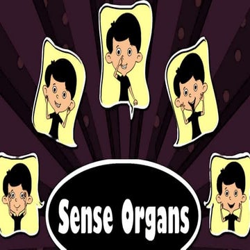 Sense organs | PPT