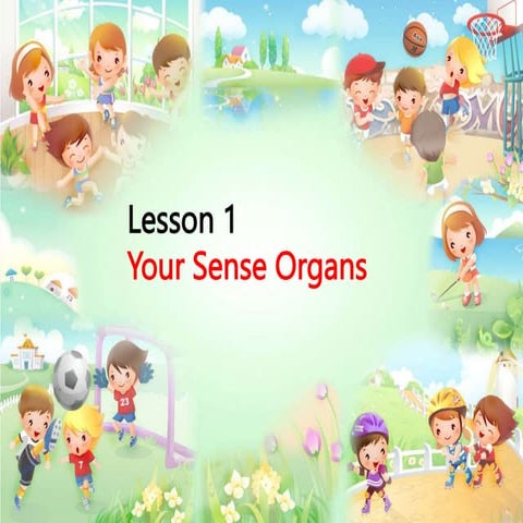 SENSE ORGANS.pptx