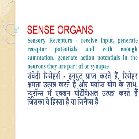 SENSE ORGANS.pptx