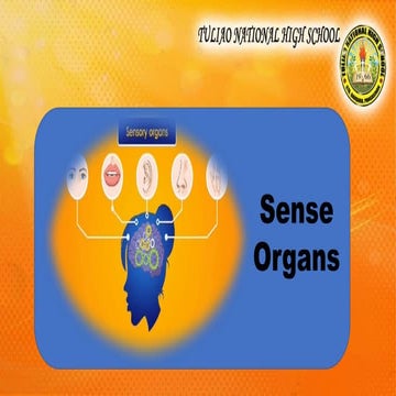 SENSE ORGANS of a human by dalongue elem | PPTX