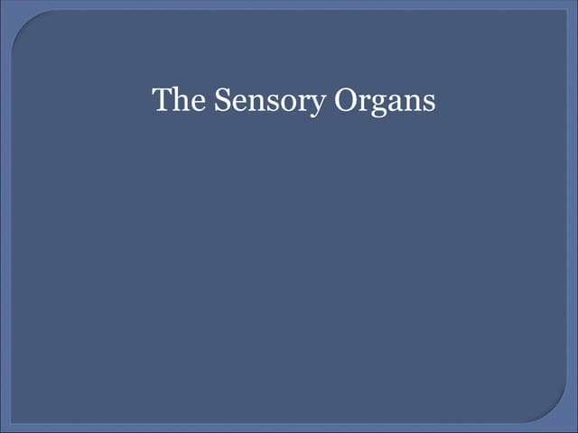 Grade3 sense organs | PPTX