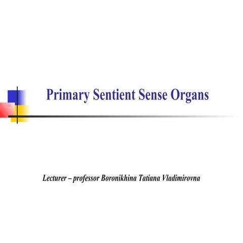 Sense organs | PPT