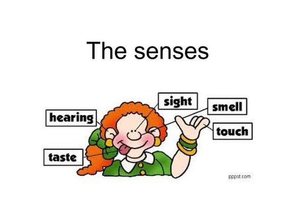 How do we use our senses | PPTX