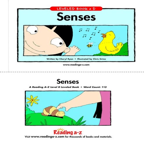 Senses (1) (1) | PDF
