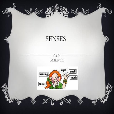 Our five senses (science) | PPT