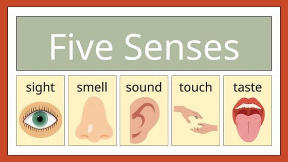 Poetic devices: imagery and the five senses | ODP | Poetry | Books and ...