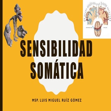 Corpusculos de la piel | DOC