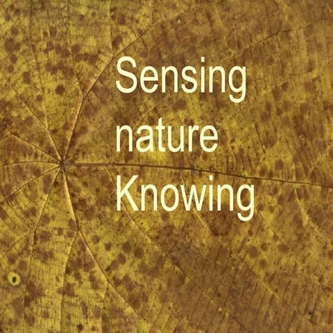 Sensing nature ; knowing nature | PPT