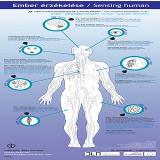 Sensing human by_harsanyireka | PDF