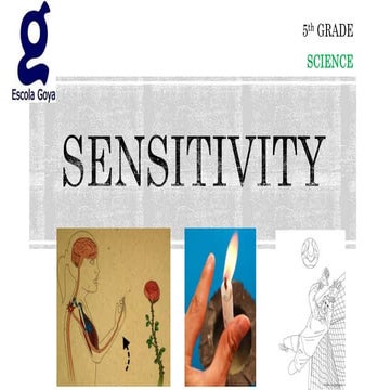 UNIT 2 Sensitivity | PPT