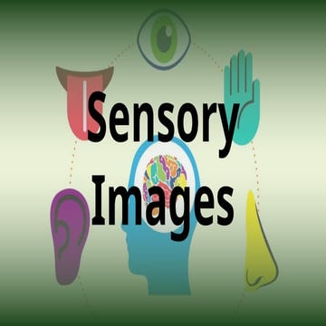 Sensory Images | PDF