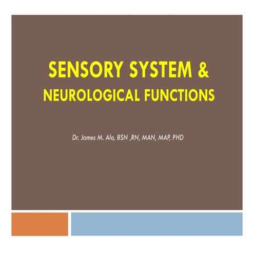 Sensory and neurological fxns.drj alo | PDF