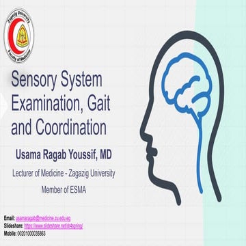 Sensory, coordination & gait Examination for Undergrad | PPTX