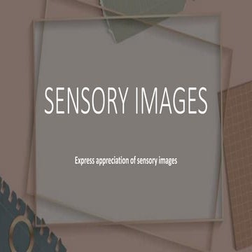 Sensory Images | PDF