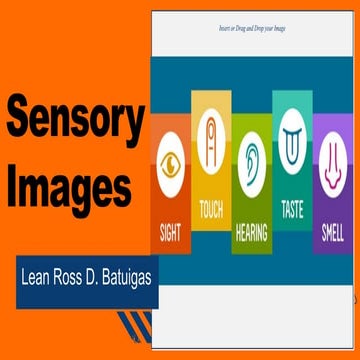 SENSORY IMAGES.pptx JHGFDGHJHGGHJHKLMNBVB | PPTX