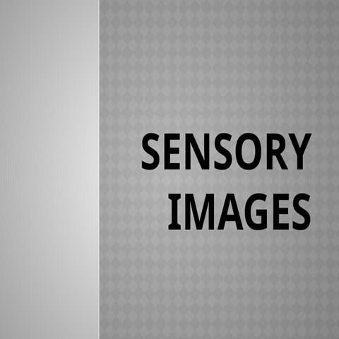 Sensory Language 5 Emotional Writing Tactics To Consider In Content